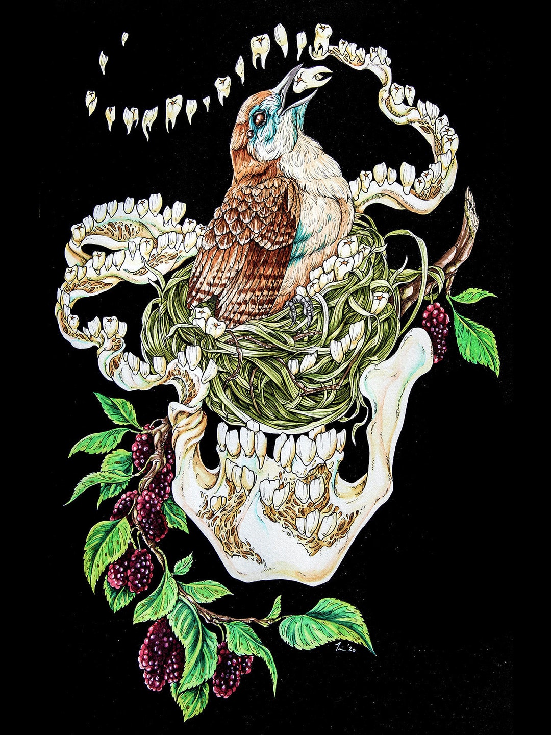 Hyperdontia - Fine Art Print - Etsy