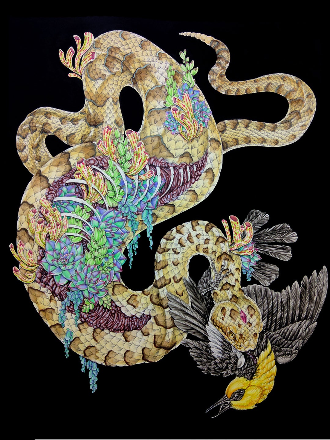The Colors We Can't See - Original Ink and Watercolor Illustration - Etsy
