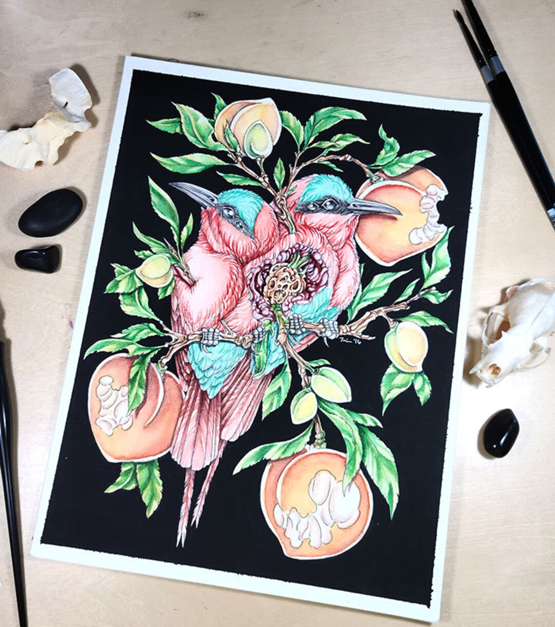 Seed - Original Ink and Watercolor Illustration - Etsy