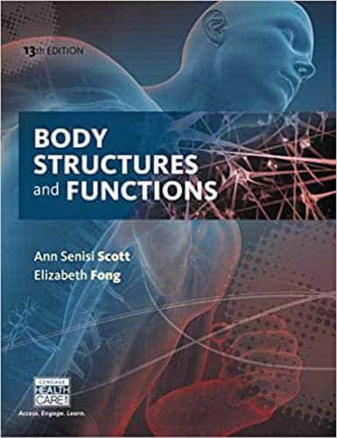 Body Structures and Functions(13th Edition) - Etsy