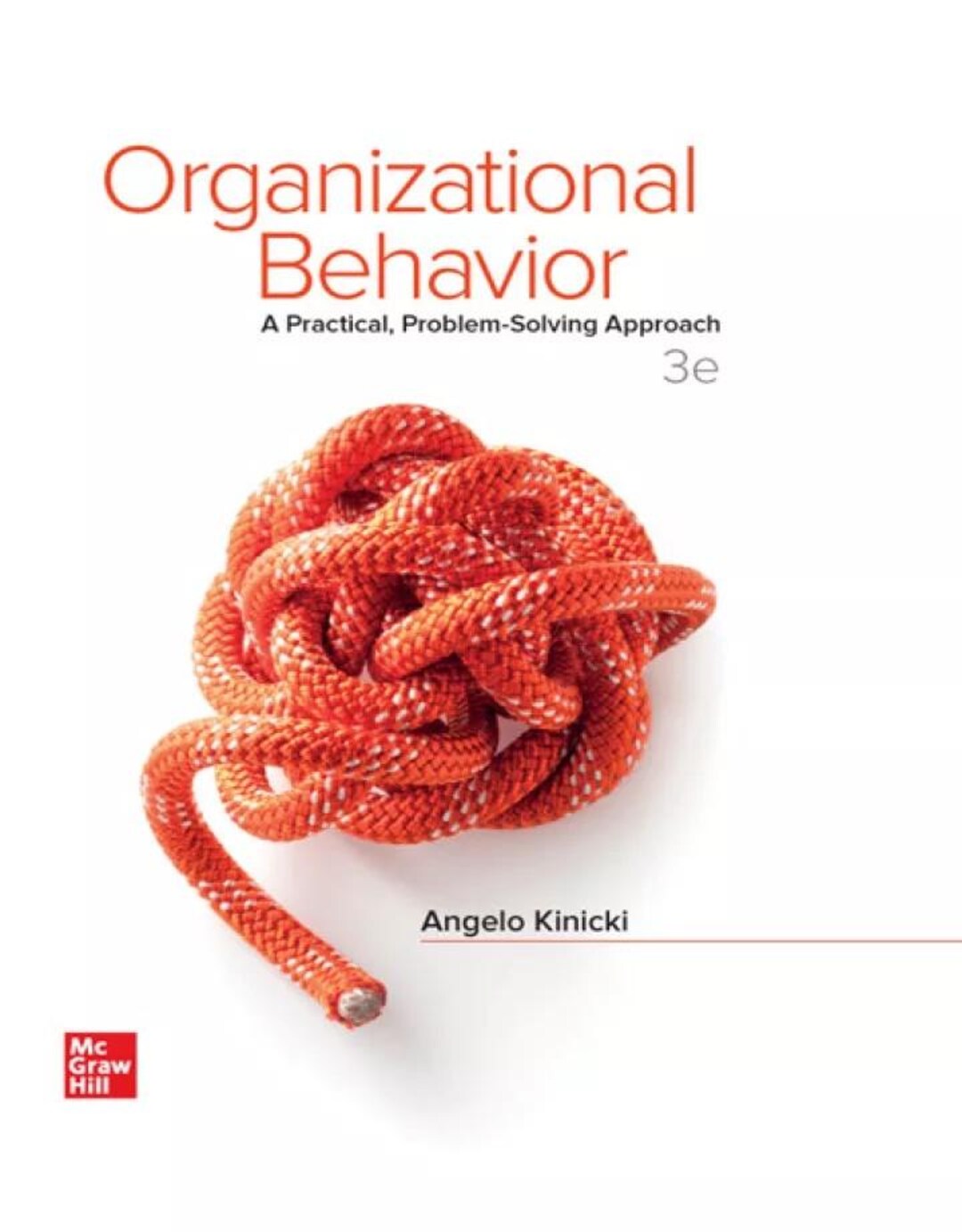 Organizational Behavior: A Practical, Problem-solving Approach 3rd Edition - Etsy