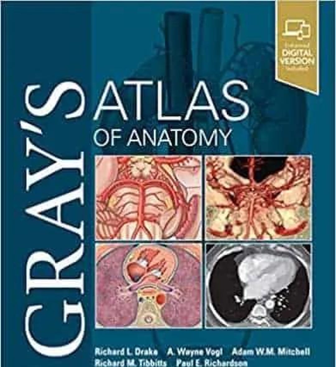 Gray ’ S Atlas of Anatomy(3rd Edition) - Etsy