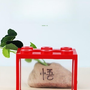 Tiny Acrylic Aquarium | Mini Desktop Fish Tank & Creative Eco Scaping ...