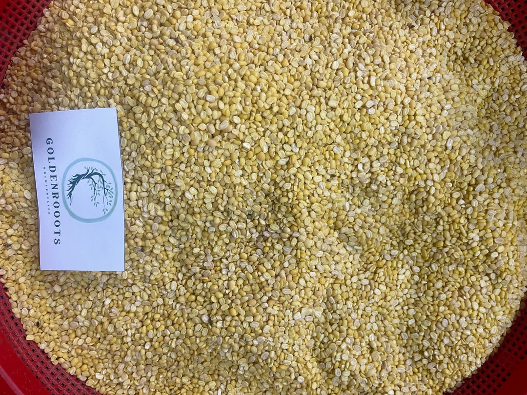 Hulled Mung Beans - Natural Split Mung Beans for Cooking and Baking - Etsy