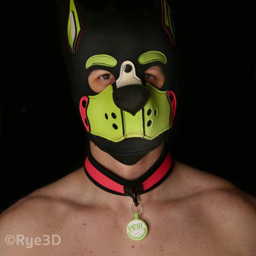 Silicone Pet Name Tag - Etsy