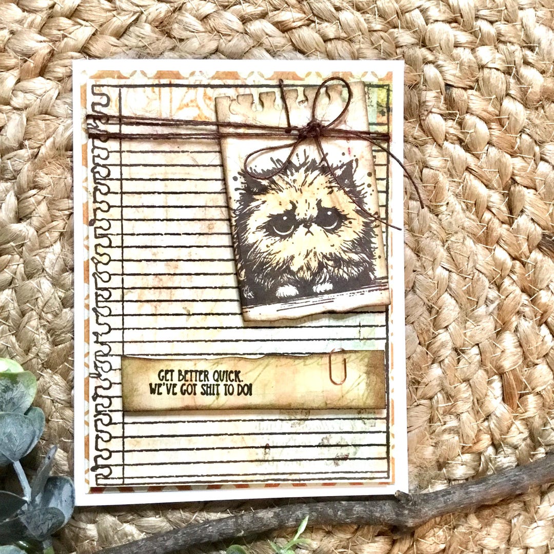 Get Well Quick We Got Shit to Do Card, REDUCED PRICE Snarky Cat Get ...