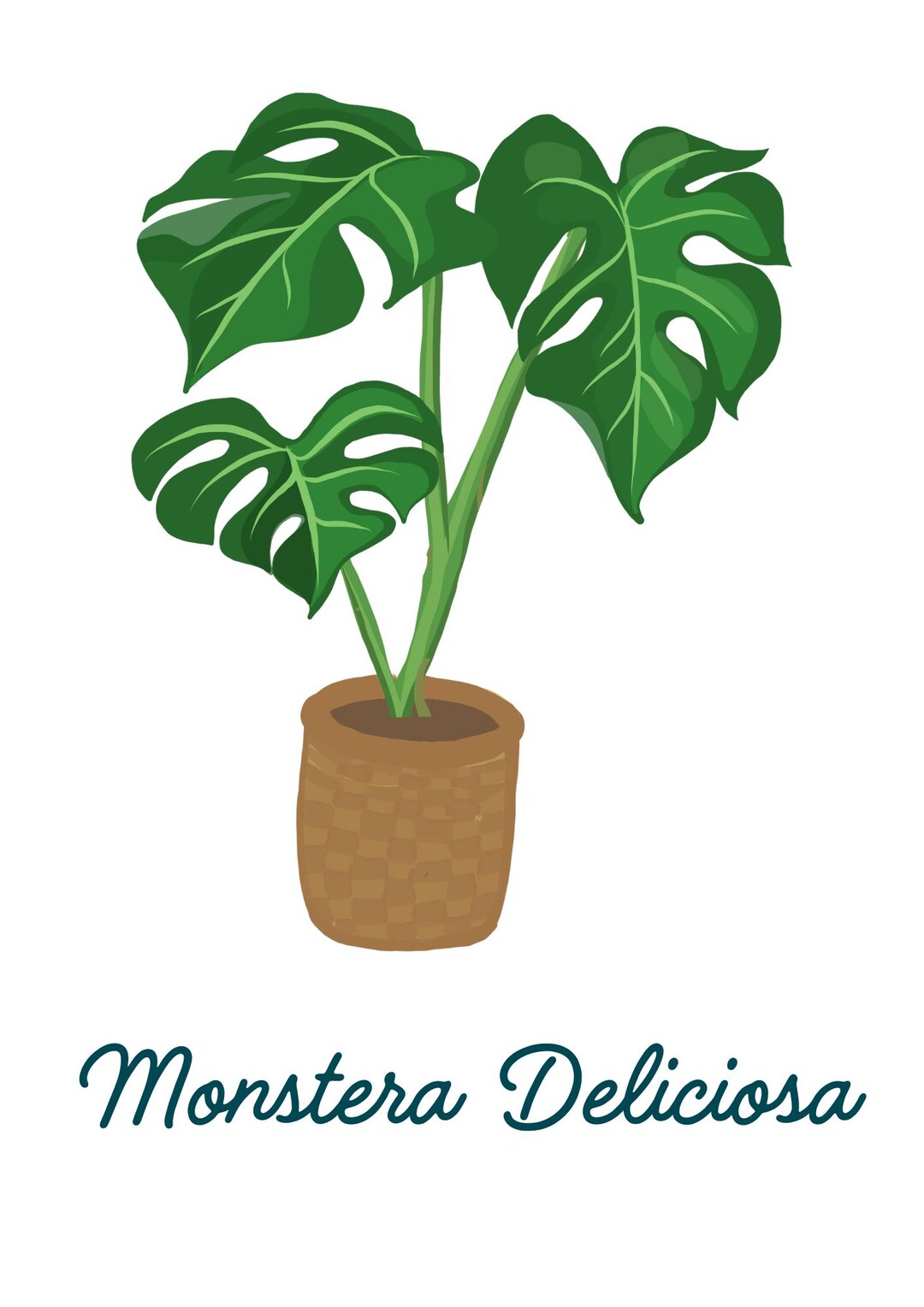 Monstera Deliciosa A4 Digital Print - Etsy