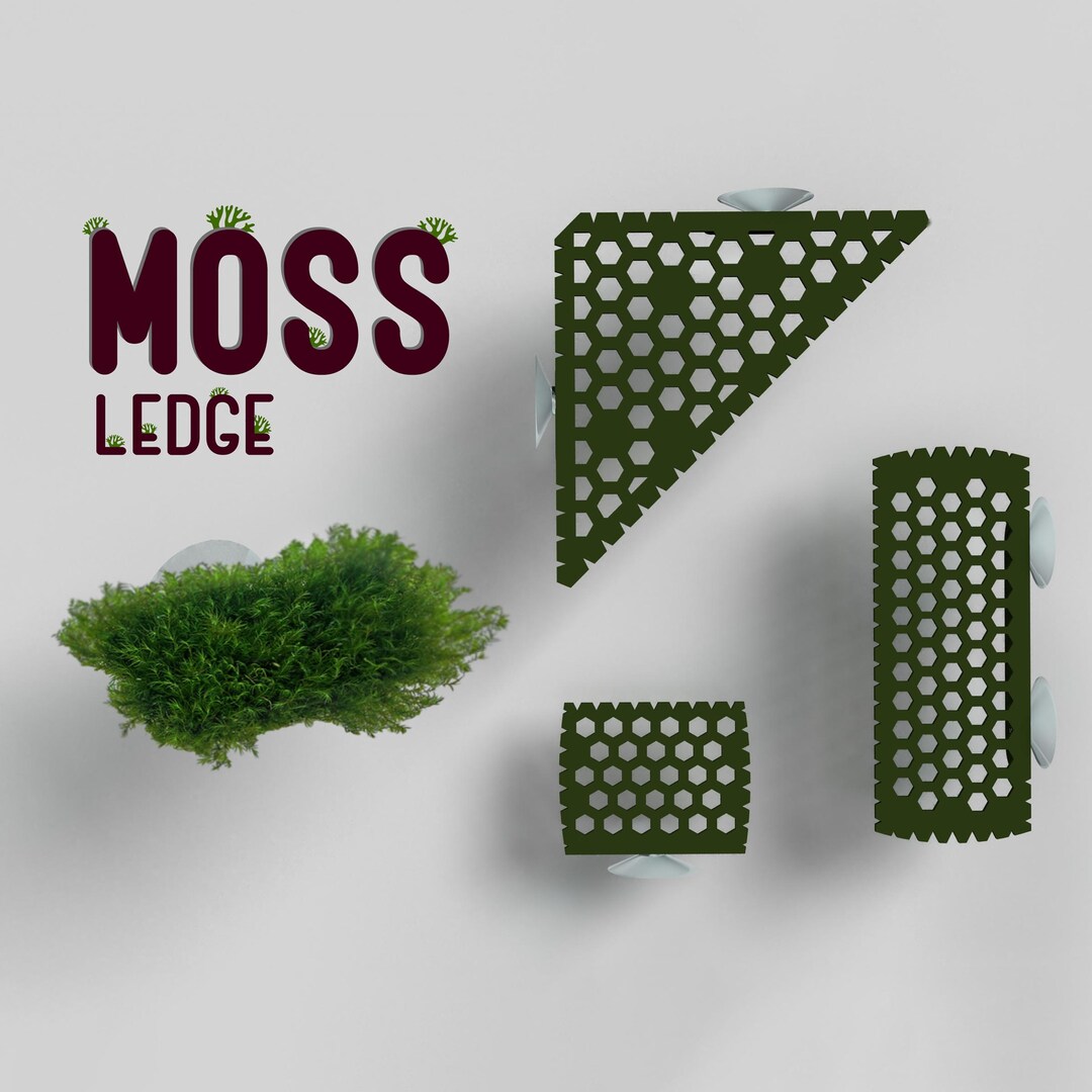 Ledge for Moss or Rhizome Plants, Surface for Moss and Plants, Enhance ...