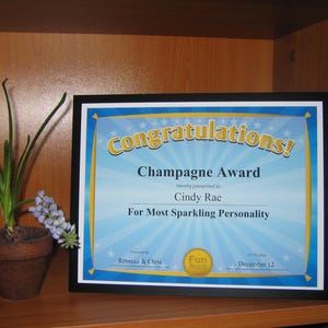 101 Funny Award Certificates - Etsy