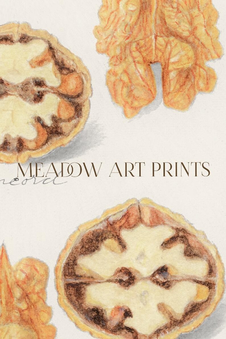 Printable Walnut Art Print Digital Download Kitchen Wall Decor | B-83 ...