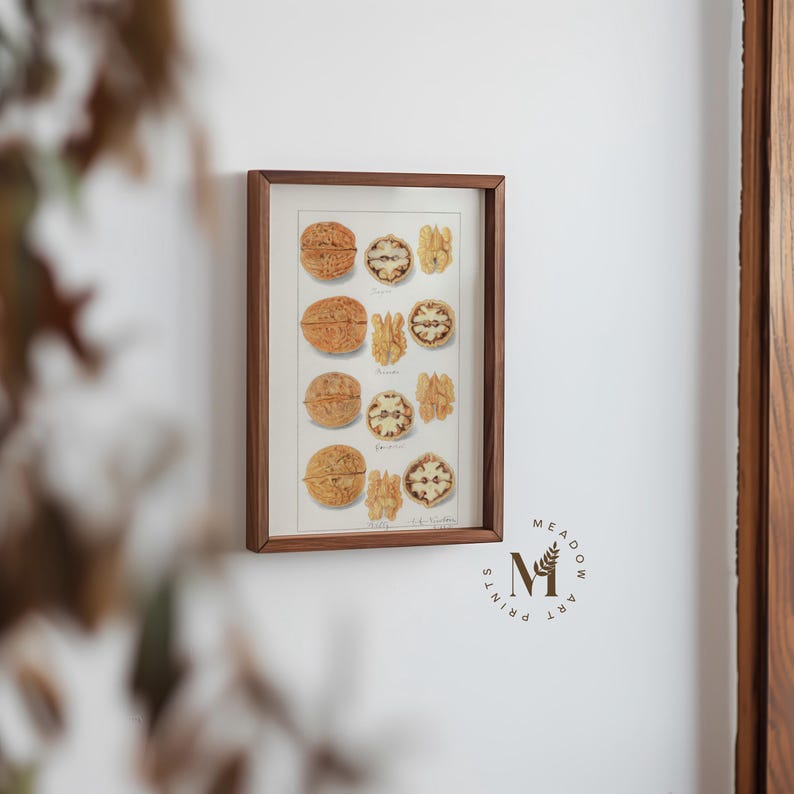 Printable Walnut Art Print Digital Download Kitchen Wall Decor | B-83 ...
