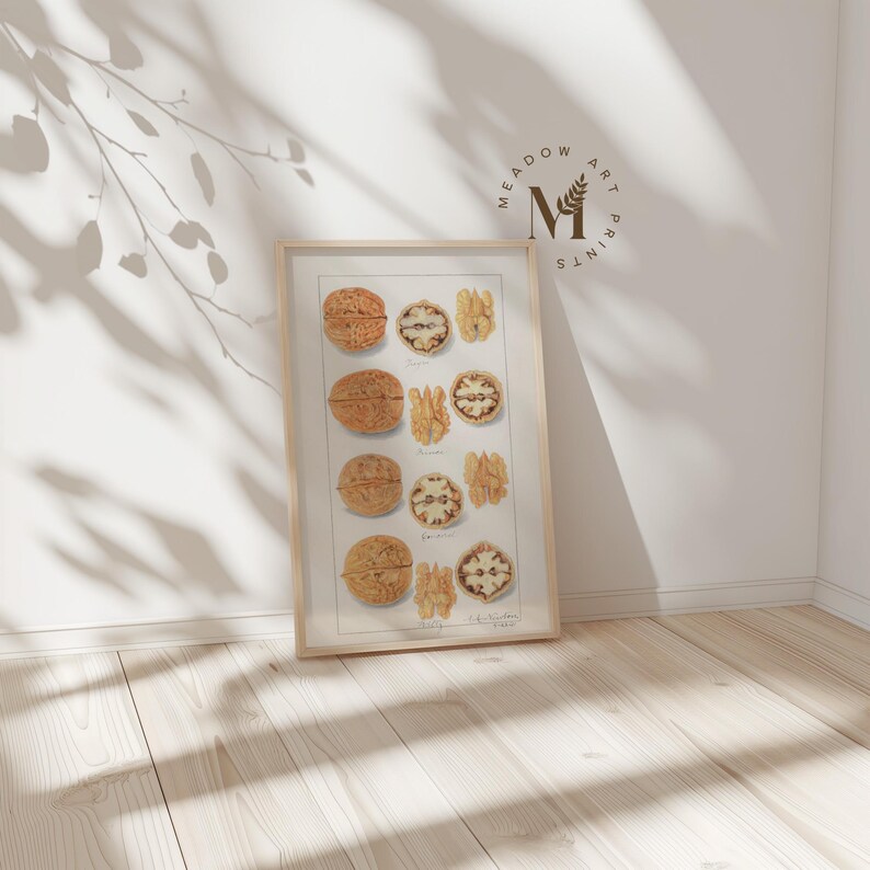 Printable Walnut Art Print Digital Download Kitchen Wall Decor | B-83 ...