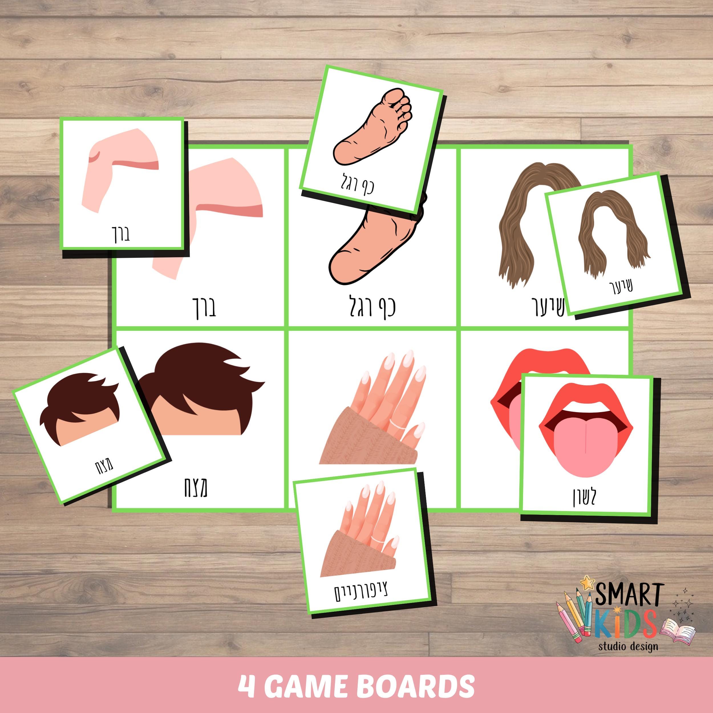 Human Body Lotto Game: Printable Body Parts Matching Activity (PDF File ...