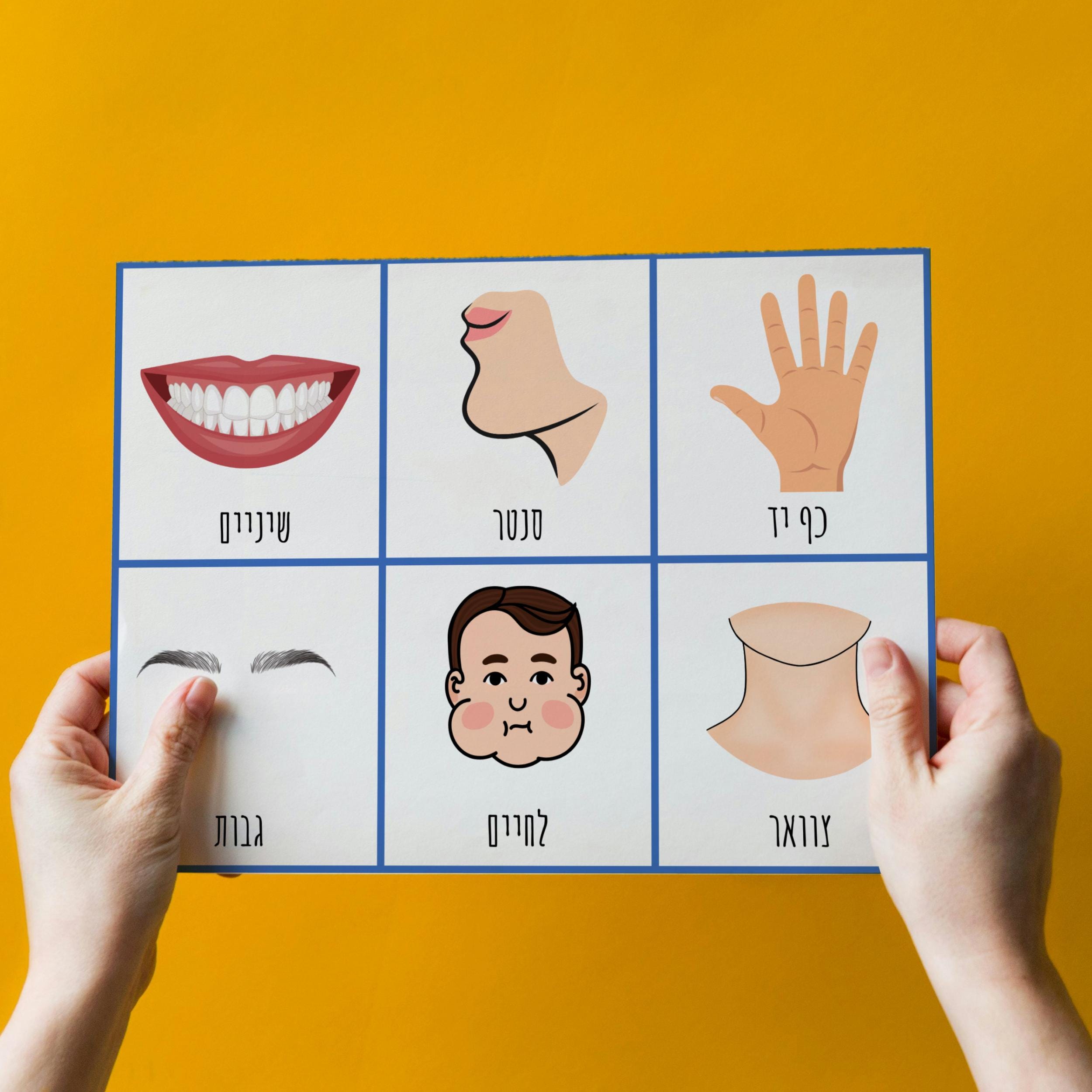 Human Body Lotto Game: Printable Body Parts Matching Activity (PDF File ...