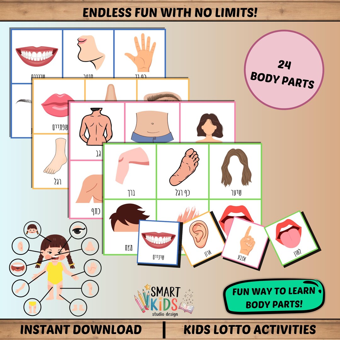 Human Body Lotto Game: Printable Body Parts Matching Activity (PDF File ...