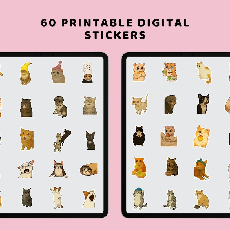 Funny Cat Meme PNG, Trend Cat Sticker Bundle, Cat Memes Emotes Sticker ...