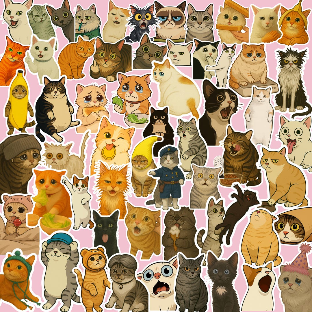Funny Cat Meme PNG, Trend Cat Sticker Bundle, Cat Memes Emotes Sticker ...