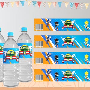 Sonic Birthday Water Bottle Labels, Sonic Personalised Printable Bottle ...