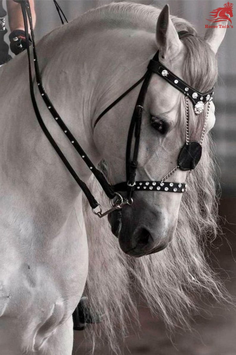 Custom Handmade Fancy Horse Bridle in Vintage Style With Free Reins - Etsy