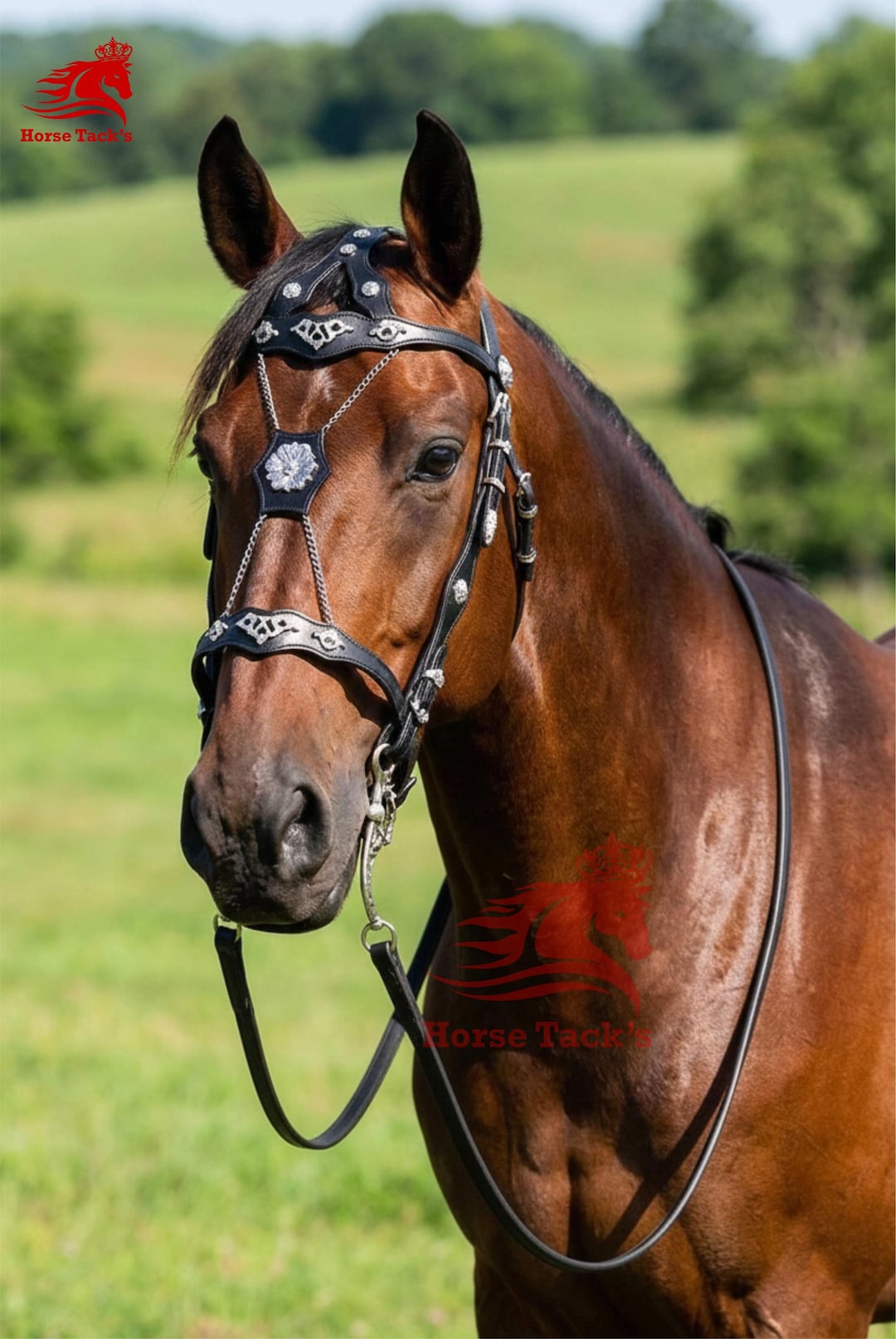 Fancy Horse Bridle, Spanish Style Horse Bridle , Horse Bridle With ...