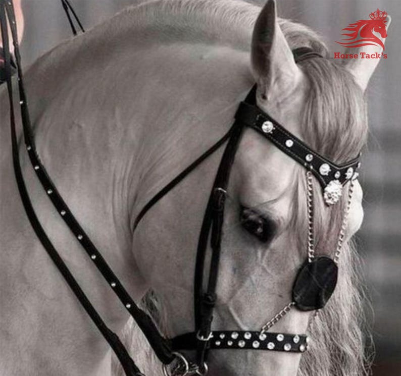 Custom Handmade Fancy Horse Bridle in Vintage Style With Free Reins - Etsy