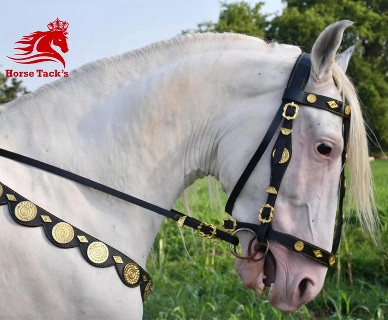 Fancy Horse Bridle in Baroque Style With Free Reins, Handmade Stitch ...