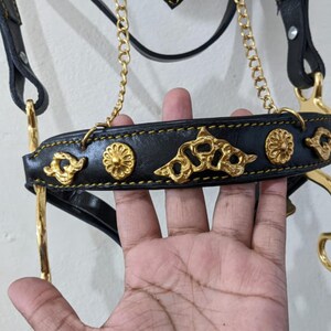 Fancy Hackamore Horse Bridle in Pure Cowhide Leather With Brass Gold ...