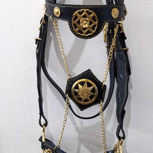 Fancy Hackamore Horse Bridle in Pure Cowhide Leather With Brass Gold ...