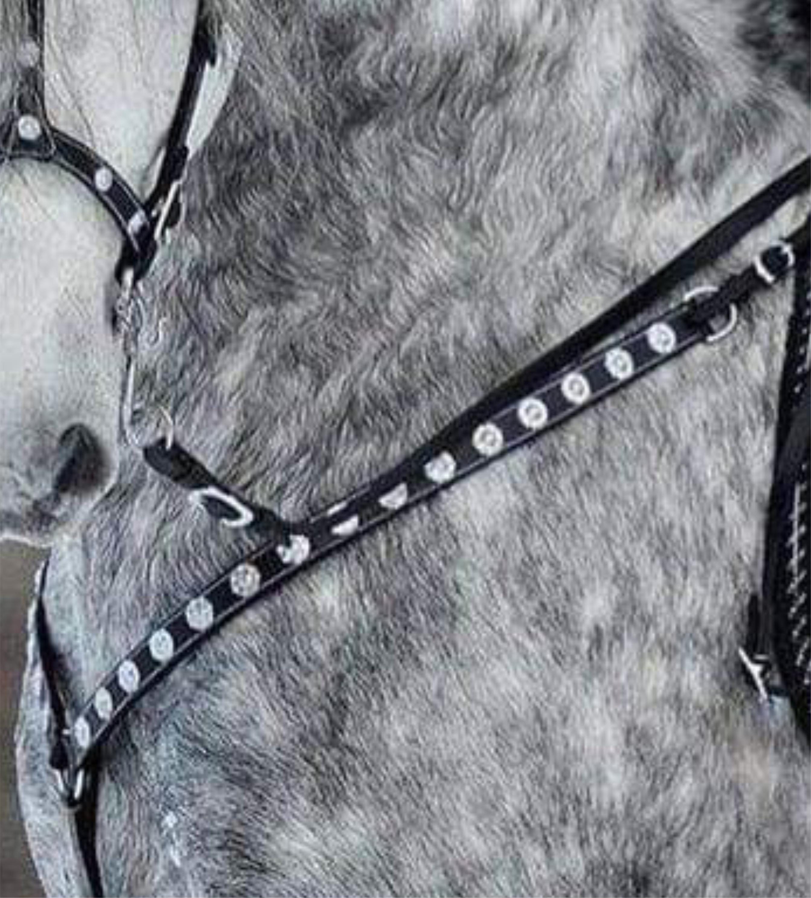 Handmade Fancy Horse Bridle in Vintage Style With Free Reins & Breast ...