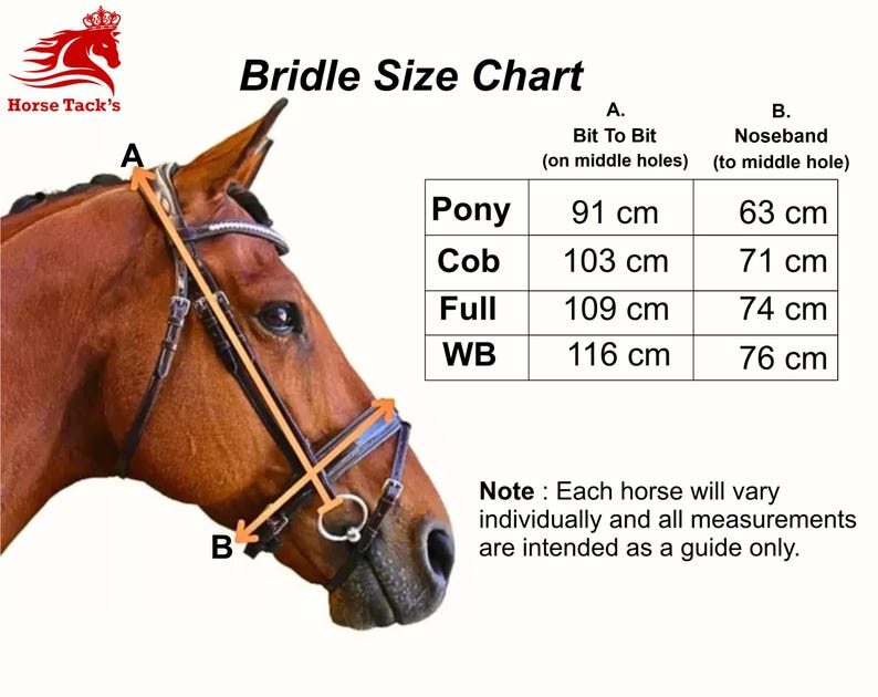 Fancy Horse Bridle in Baroque Style With Breast Collar & Breeching ...