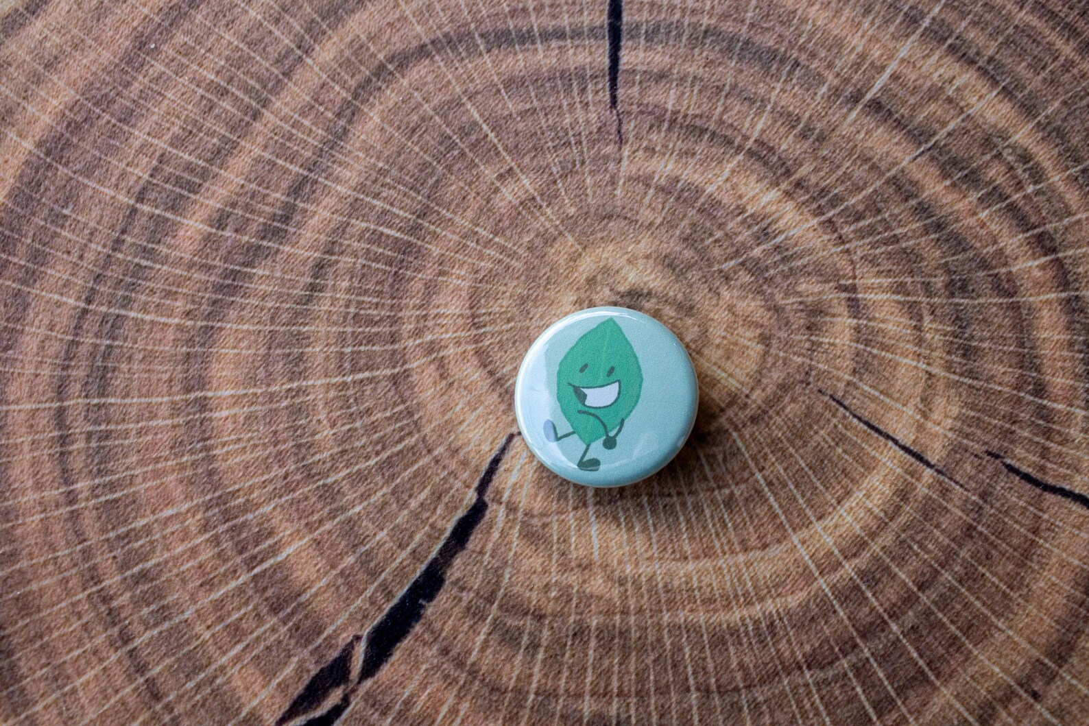 BFDI Firey and Leafy Pin Button Sets - Etsy
