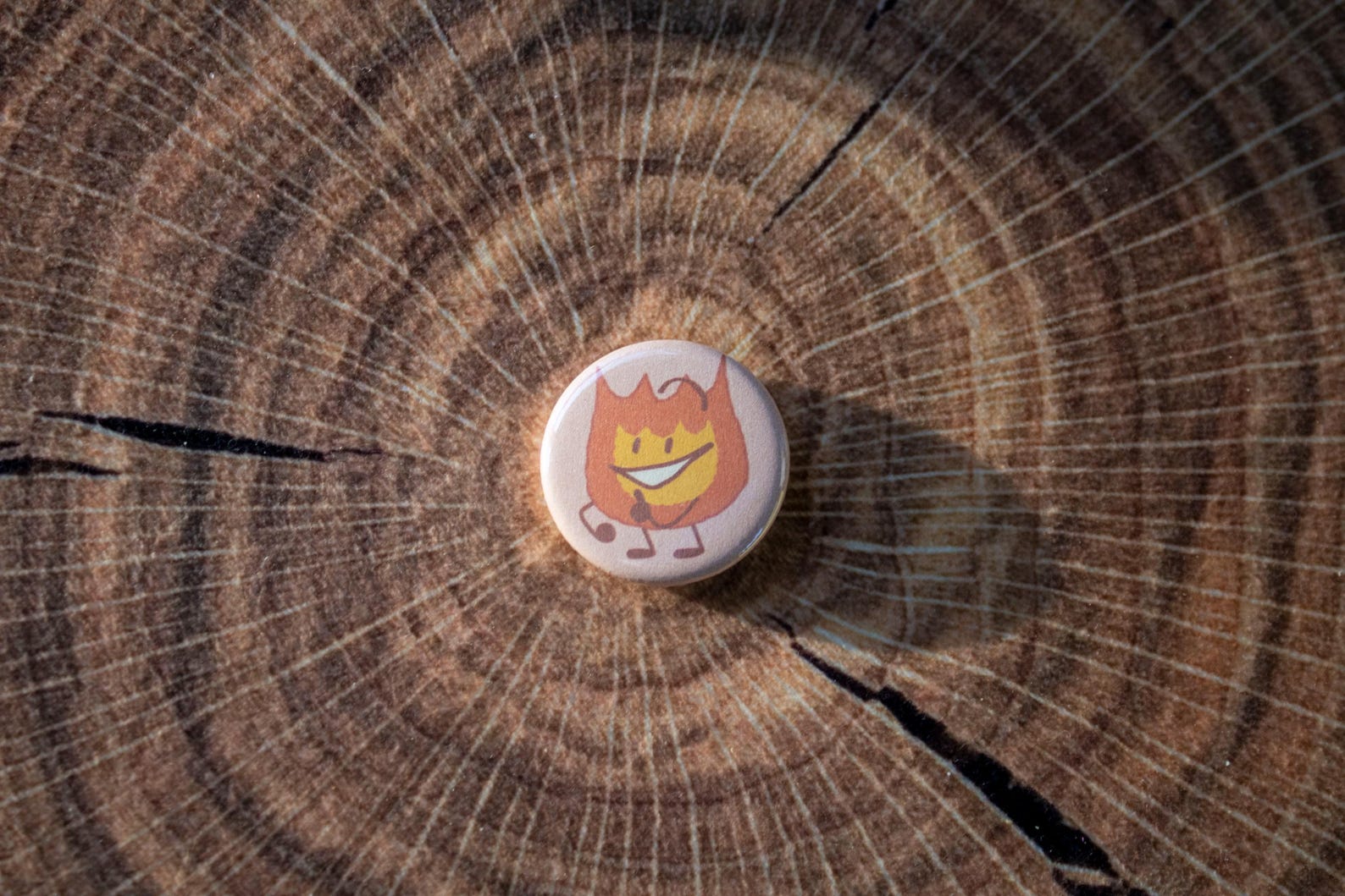 BFDI Firey and Leafy Pin Button Sets - Etsy