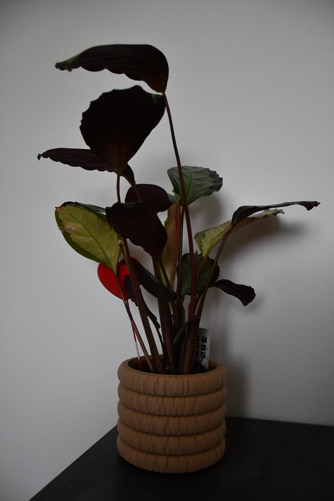 Inflatable Effect Vase Cover - Etsy