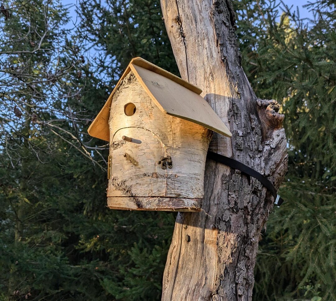 Handmade Nesting Boxes & Birdhouses Made of Birch Wood Sustainable ...