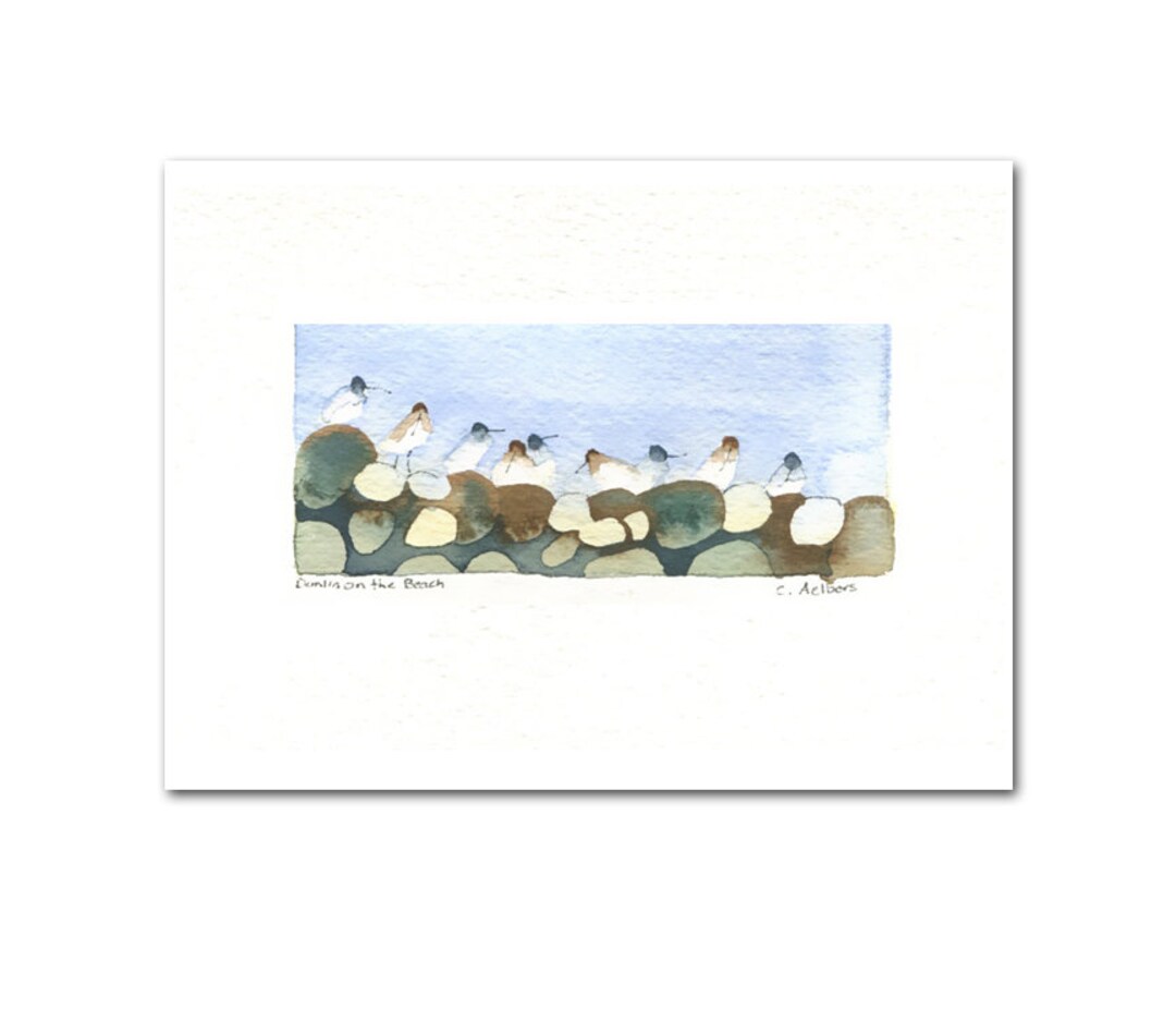 Bird Watercolor Dunlin on the Beach Original Art Card - Etsy