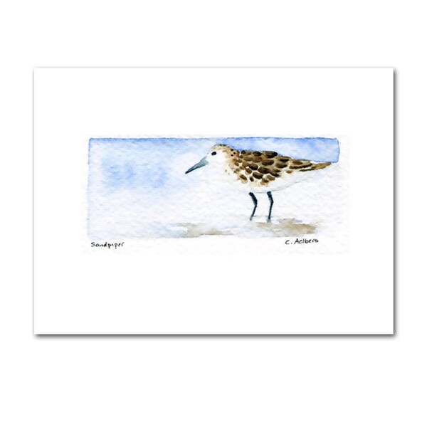 Sandpiper Painting - Etsy