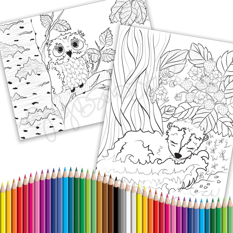 18 Coloring Pages Woodland Animals Whimsy Woodsies - Etsy