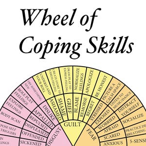 Coping Skills Wheel for Adolescents and Children - Etsy