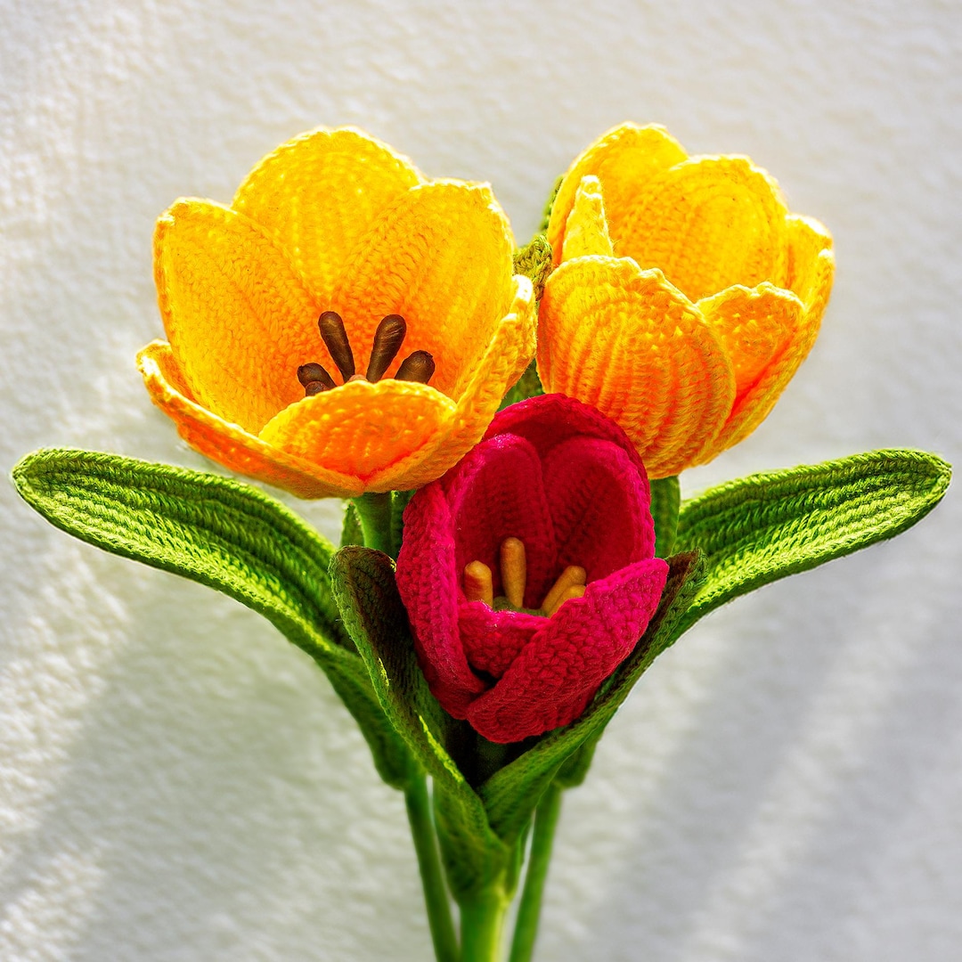 3D Tulip Crochet Pattern – PDF in Spanish | Step by Step - Etsy Australia