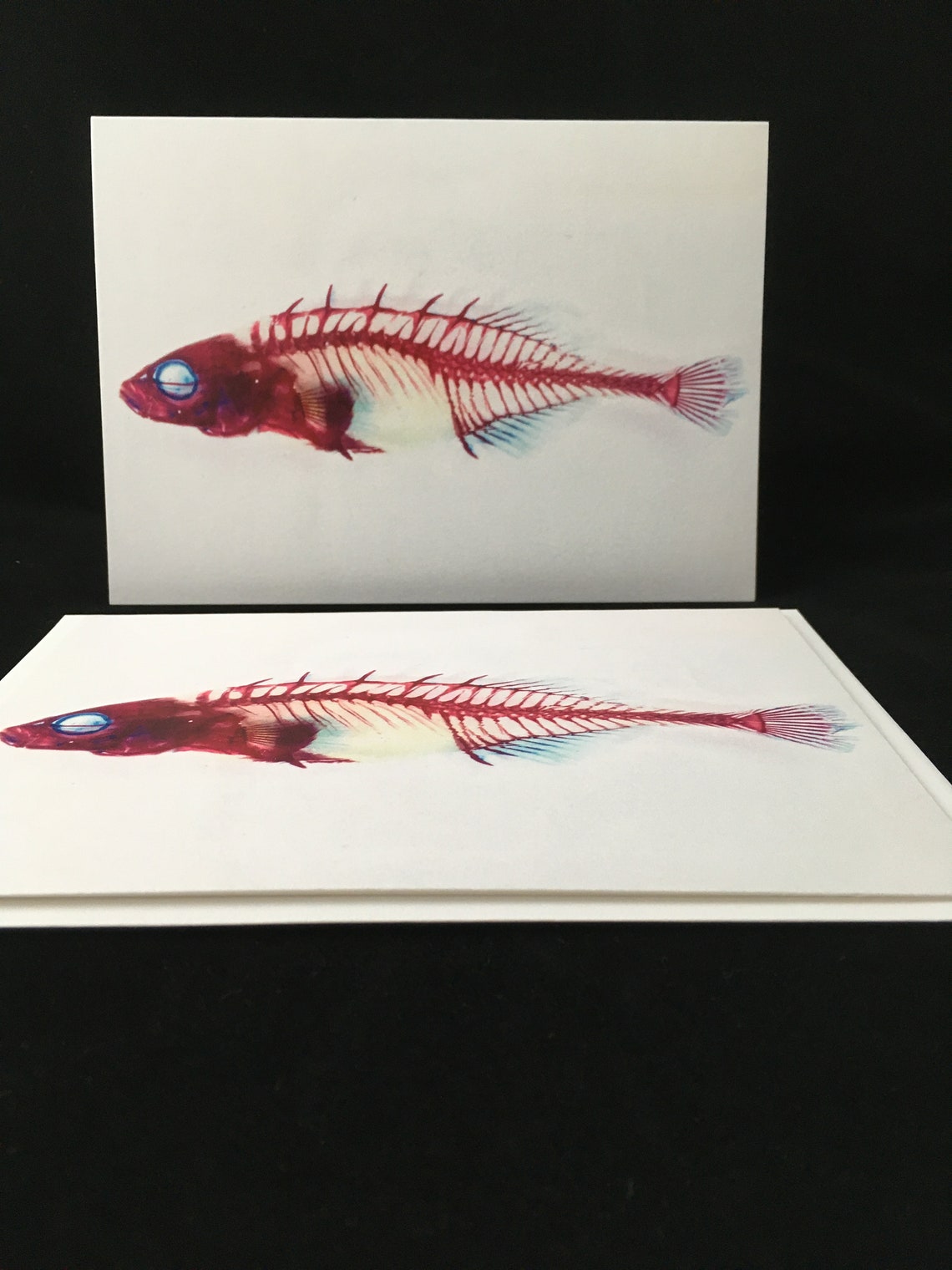 Assorted Nature Cards from my original photographs Choose | Etsy