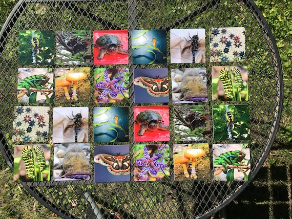Memory Game from my original photographs Boxed set of 2 each | Etsy