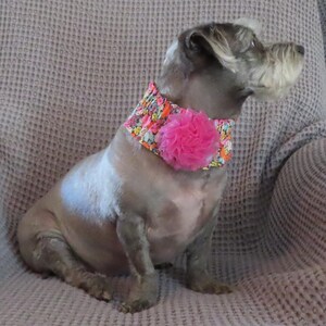 Dog Ruffle Collar, Budding Blooms Dog Scrunchie Collar With Pink ...