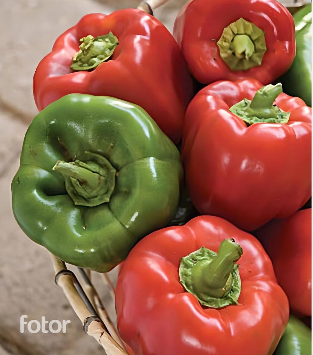 California Wonder Bell Pepper Seeds Organic Nongmo - Etsy