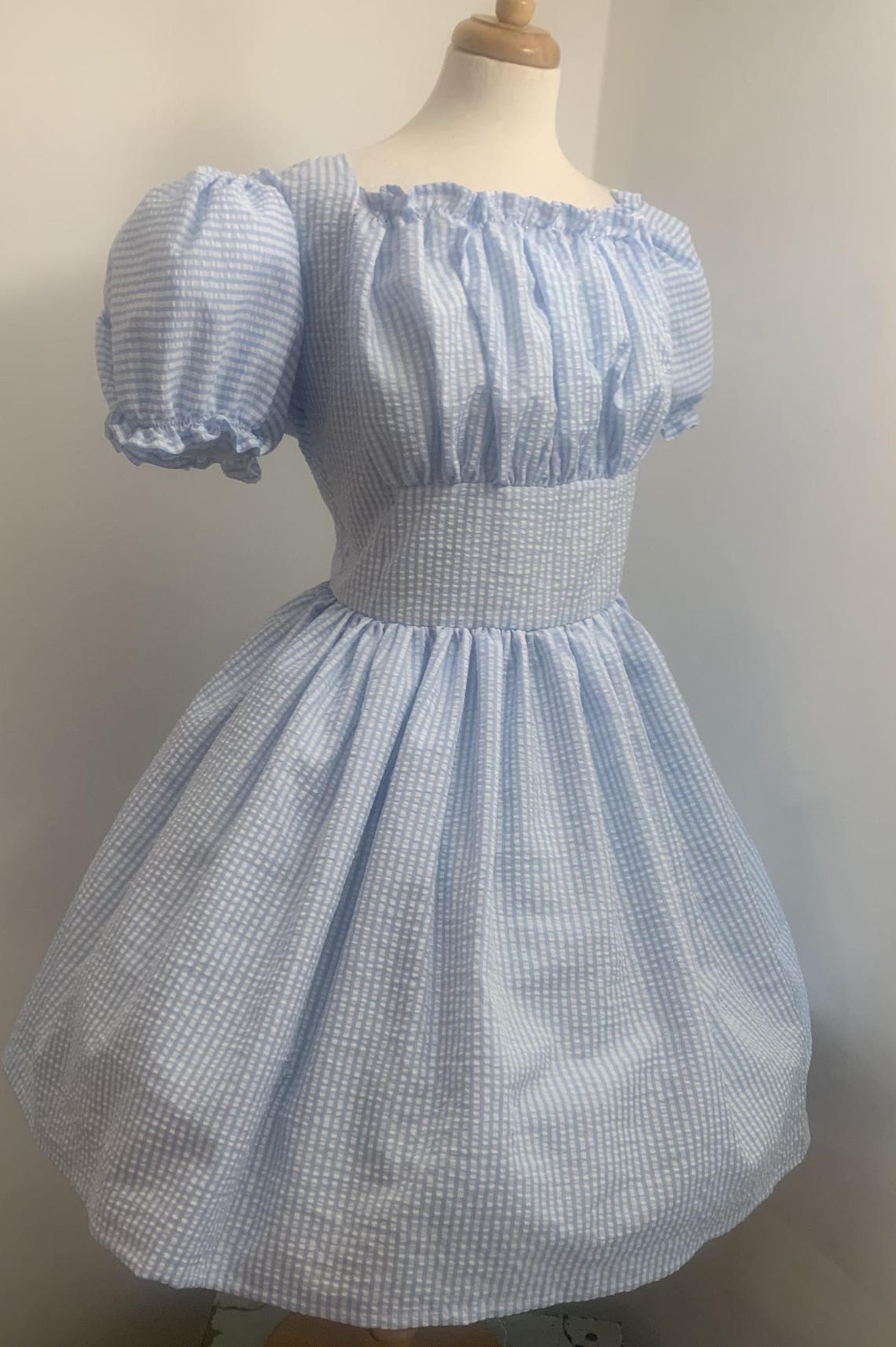 Adult Sissy Dress Blue Gingham Swiss Maid Milkmaid Dress Costume Unisex ...