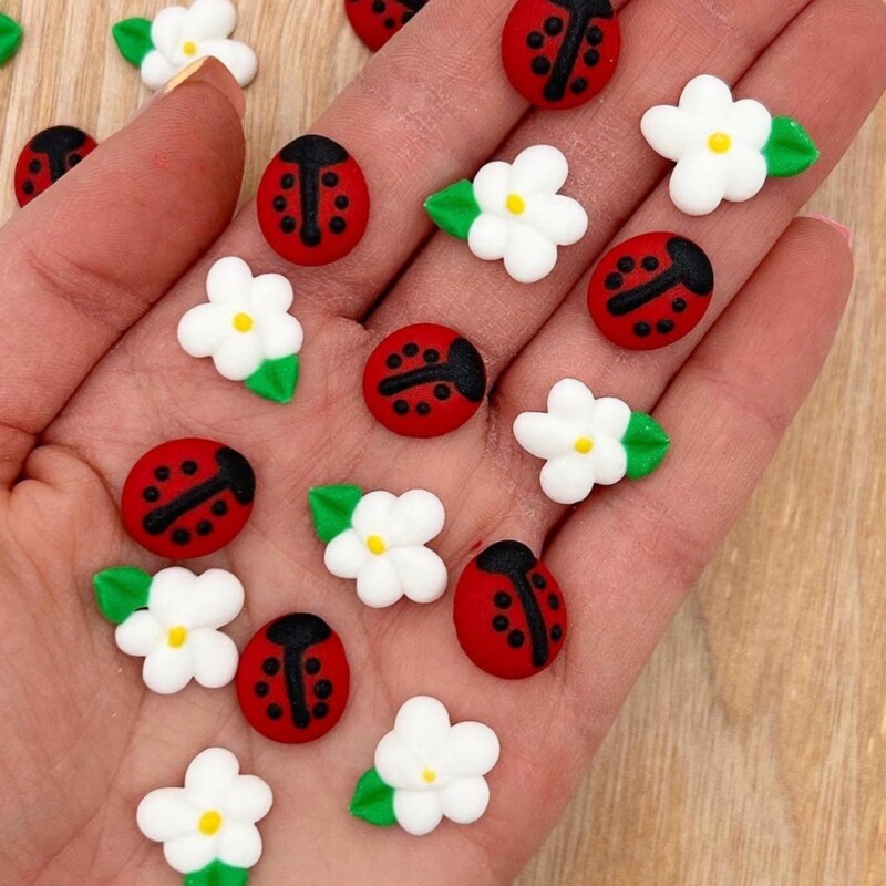 Ladybug Candy - Etsy