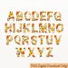 Floral Alphabet PNG A-Z | Orange & Yellow Flowers | Retro Style Digital ...