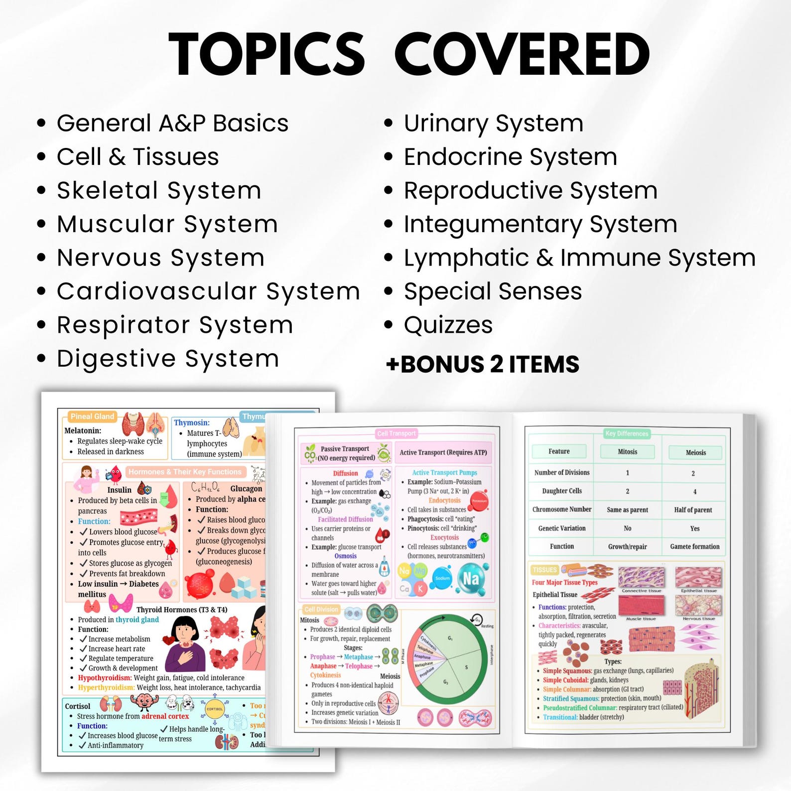 Anatomy and Physiology Cheat Sheet for Nursing | A&P Study Guide PDF ...