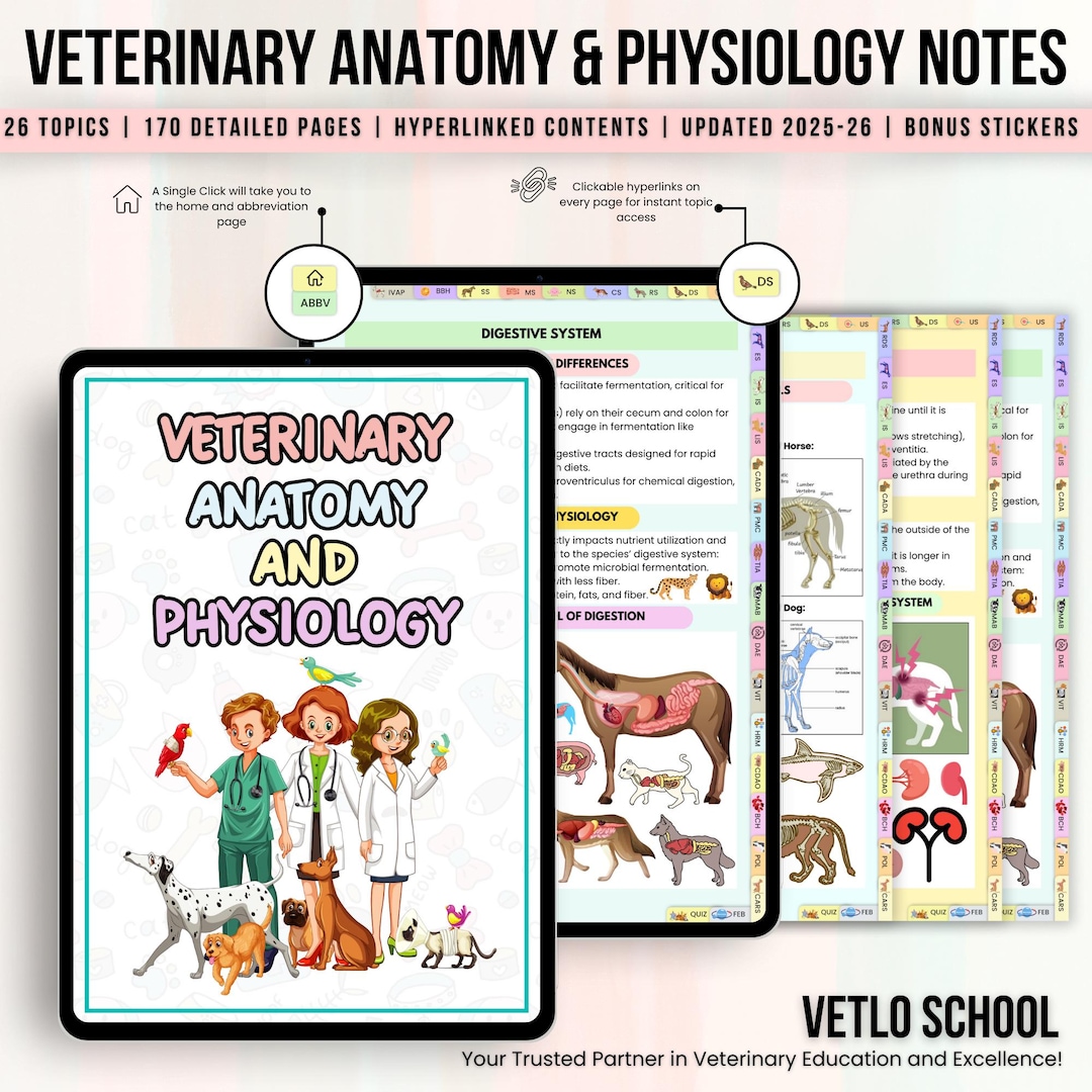 Veterinary Anatomy Notes, Veterinary Nurse, Anatomy Study Guide, Vet ...