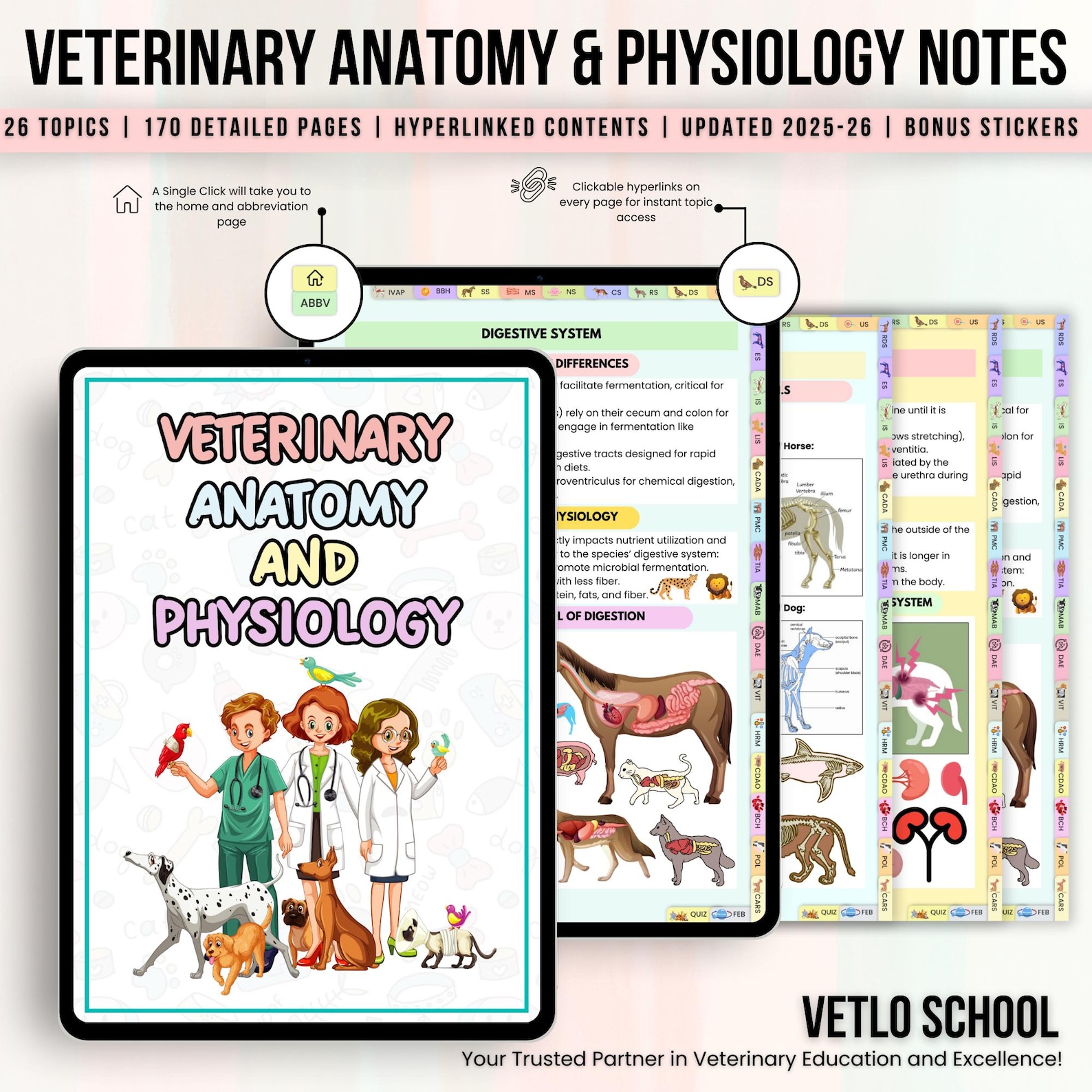 Veterinary Anatomy Notes, Veterinary Nurse, Anatomy Study Guide, Vet ...