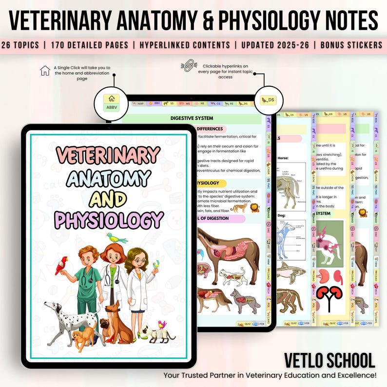Veterinary Anatomy Notes, Veterinary Nurse, Anatomy Study Guide, Vet ...